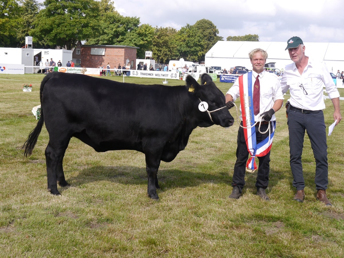 Wettbewerb Fleischrinder Norla 2021 - Fleischrinder-Zuchtverband ...